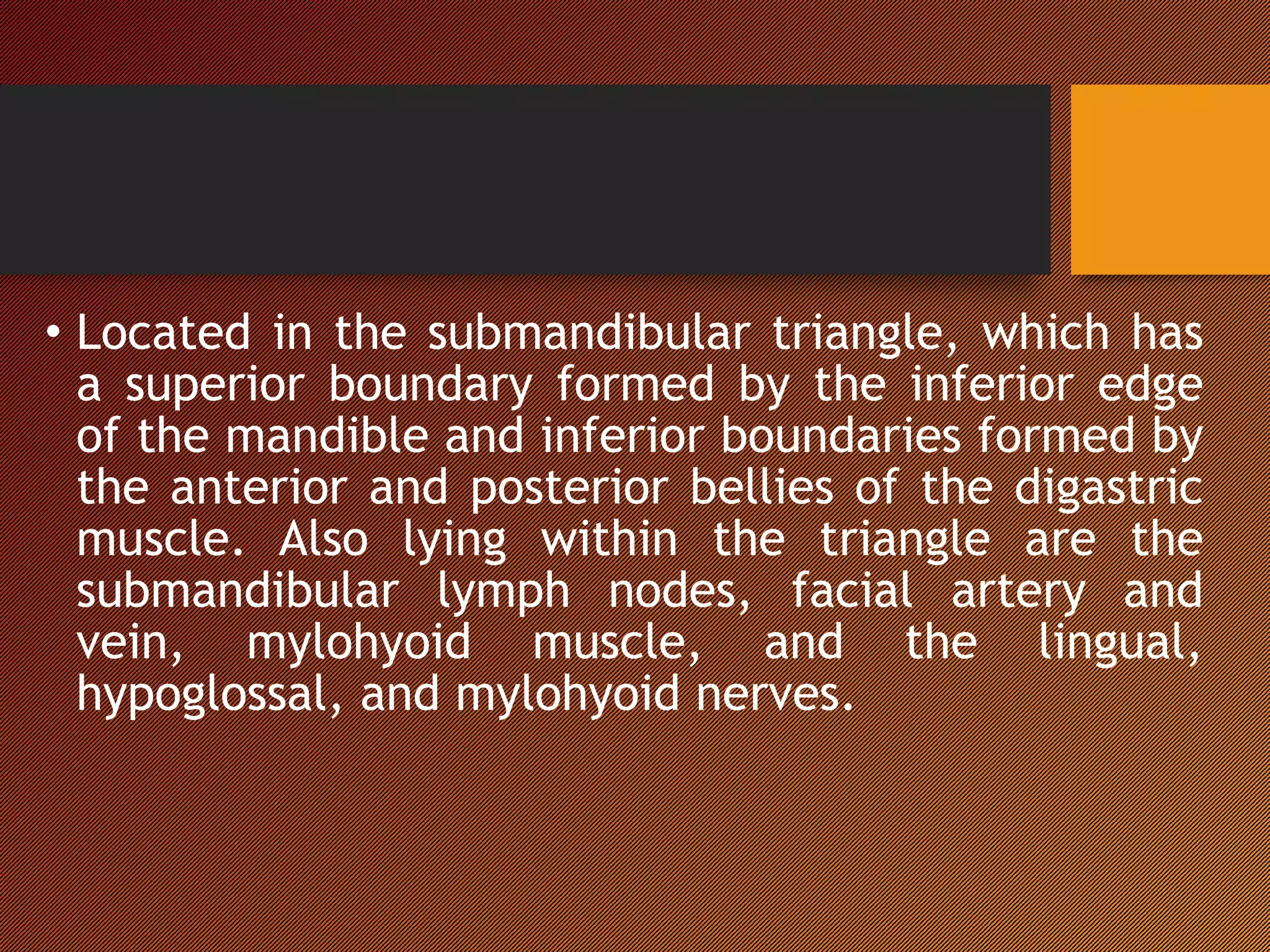 submandibular Salivary glands antomy | PPT