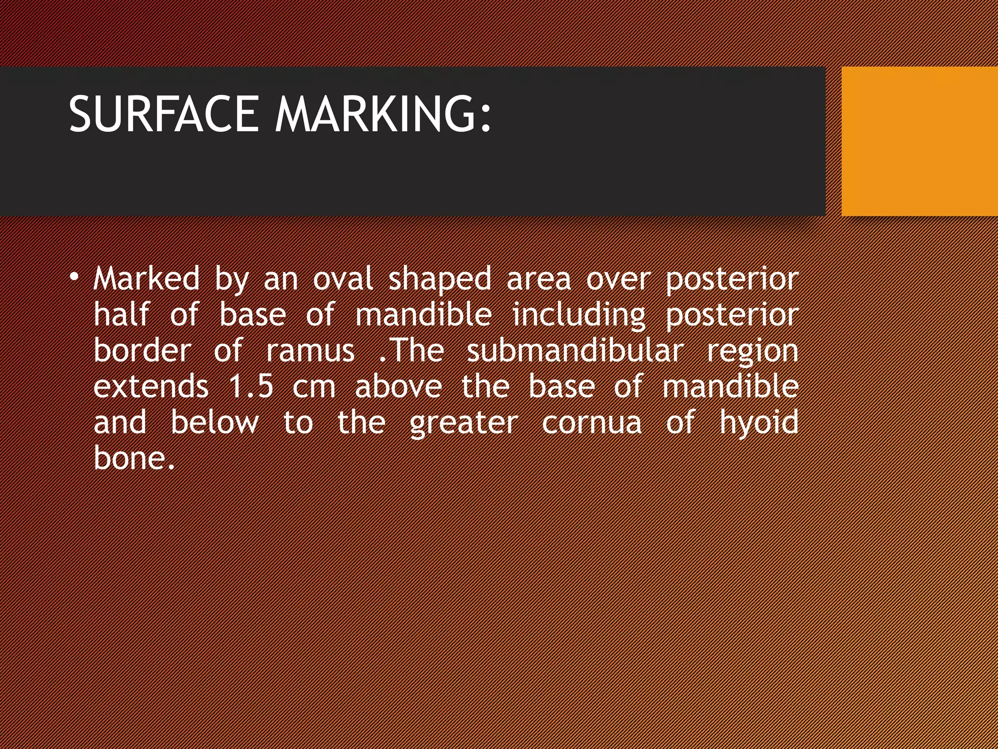 submandibular Salivary glands antomy | PPT