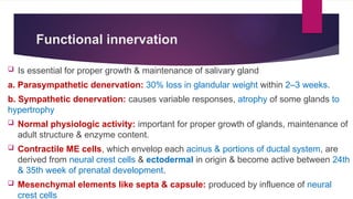 Development of Salivary Glands by Dr. Rabia Inam Gandapore.pptx