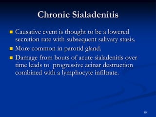 Non Specific Chronic Sialadenitis