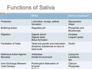 Salivary glands finals OHE | PPT