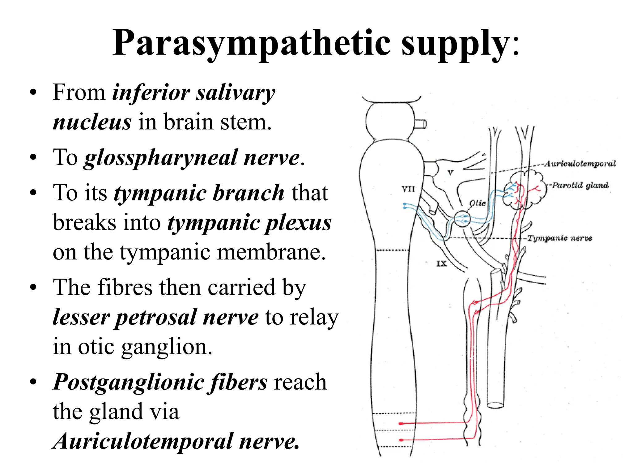 SALIVARY GLANDS groupf2 parotid and mandibular.ppt