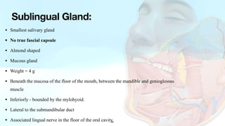 Salivary glands: Parotid, Submandibular, Sublingual | PDF