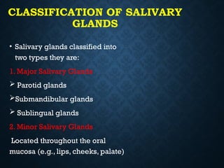 Salivary_Glands_Presentation-2.pptx salivary glands anatomy and ...