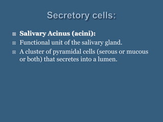 Salivary gland structure and function | PPTX