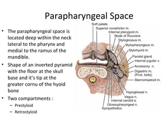 Nasopharyngeal Carcinoma | PPT