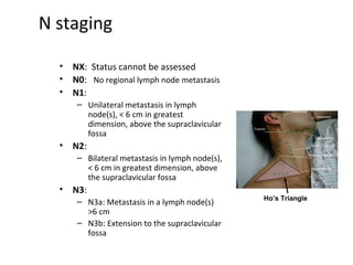 Nasopharyngeal Carcinoma Staging