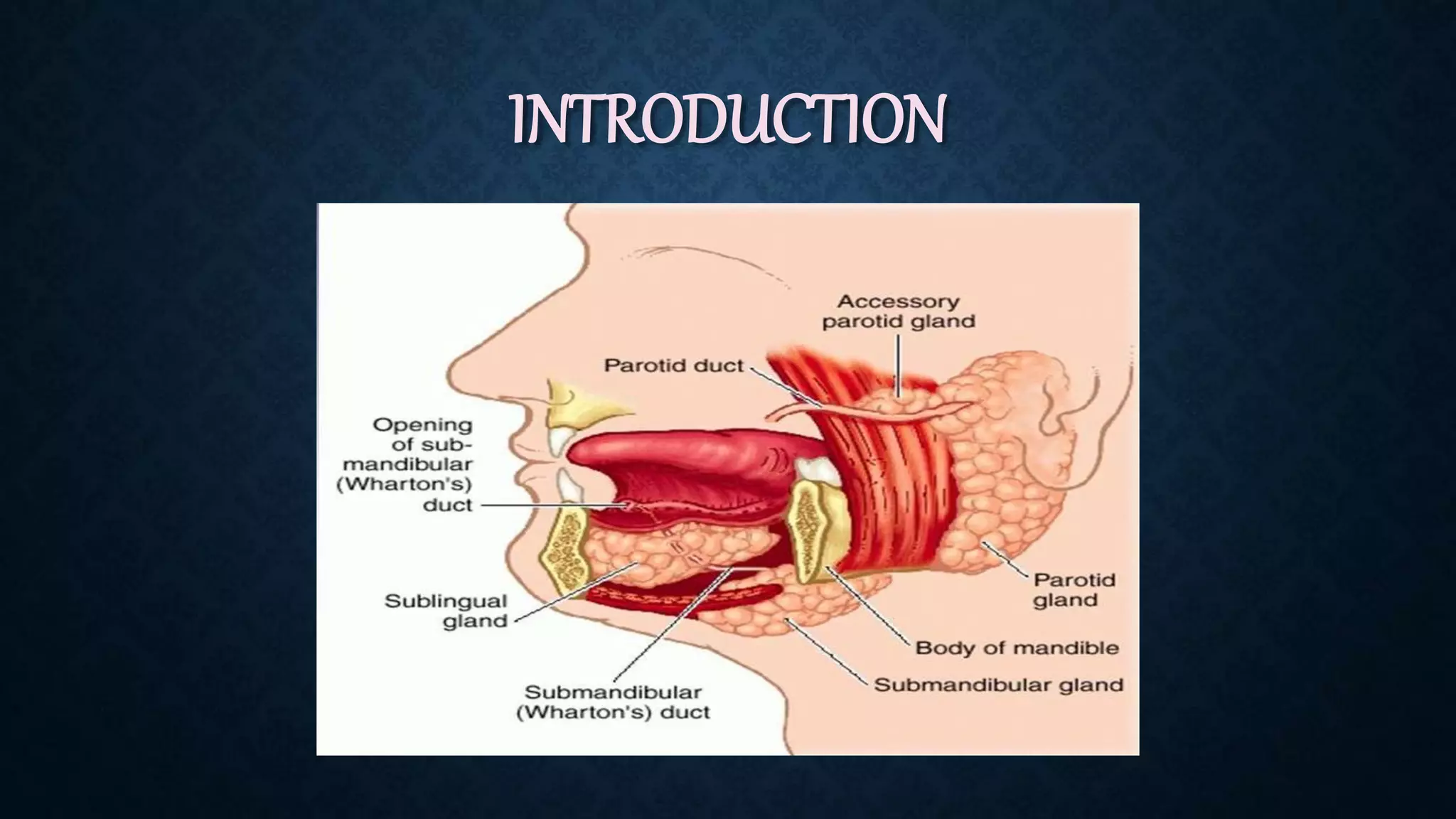 Salivary gland tumors classification | PPTX