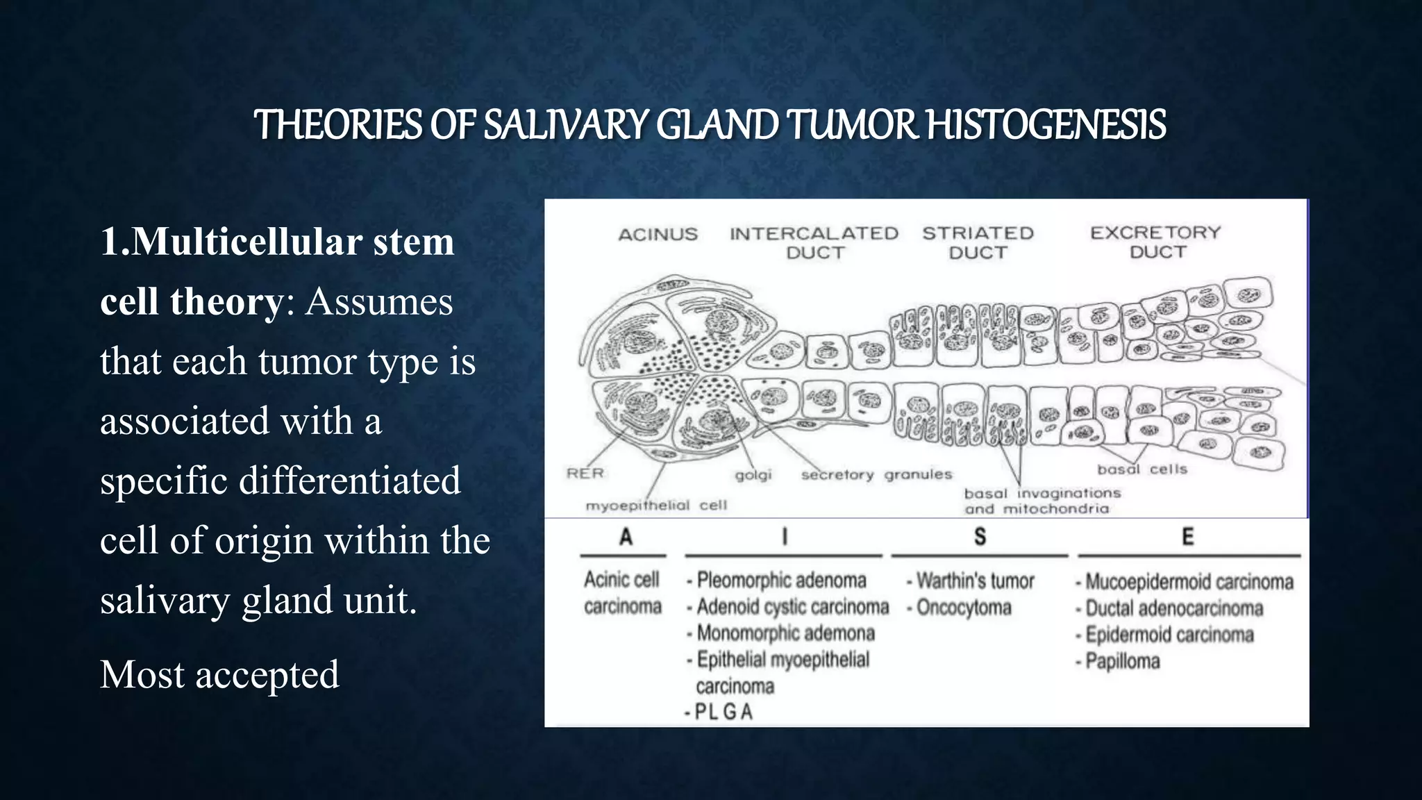 Salivary gland tumors classification | PPTX