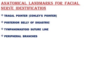 Salivary gland tumors final p pt.pptx