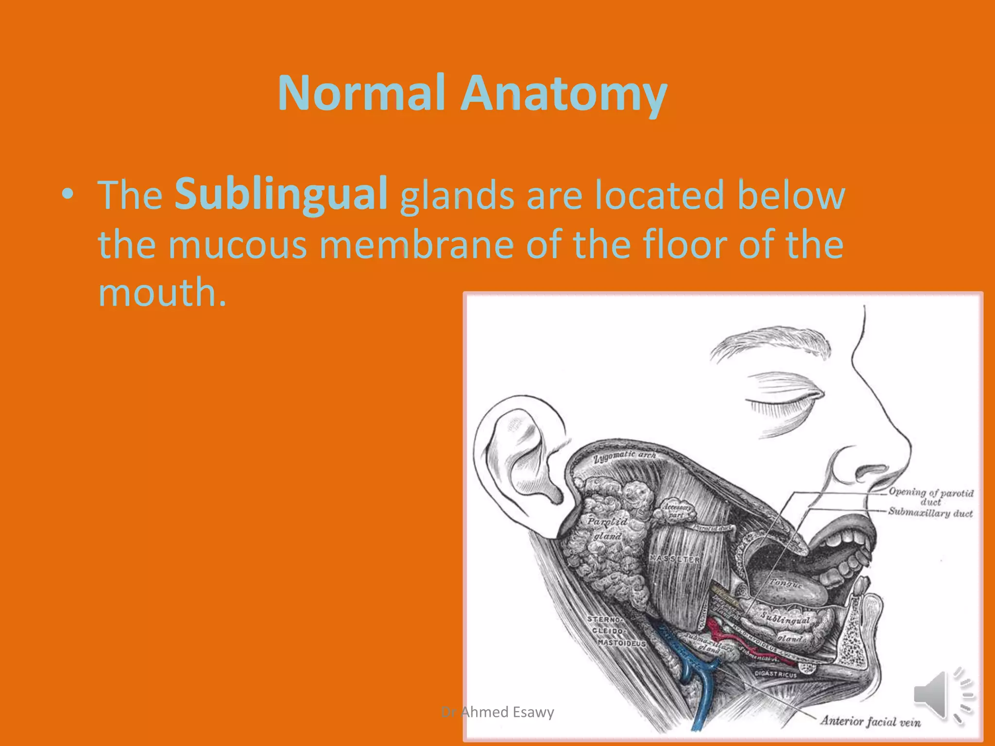 Dr Ahmed Esawy Salivary gland ultrasound | PDF