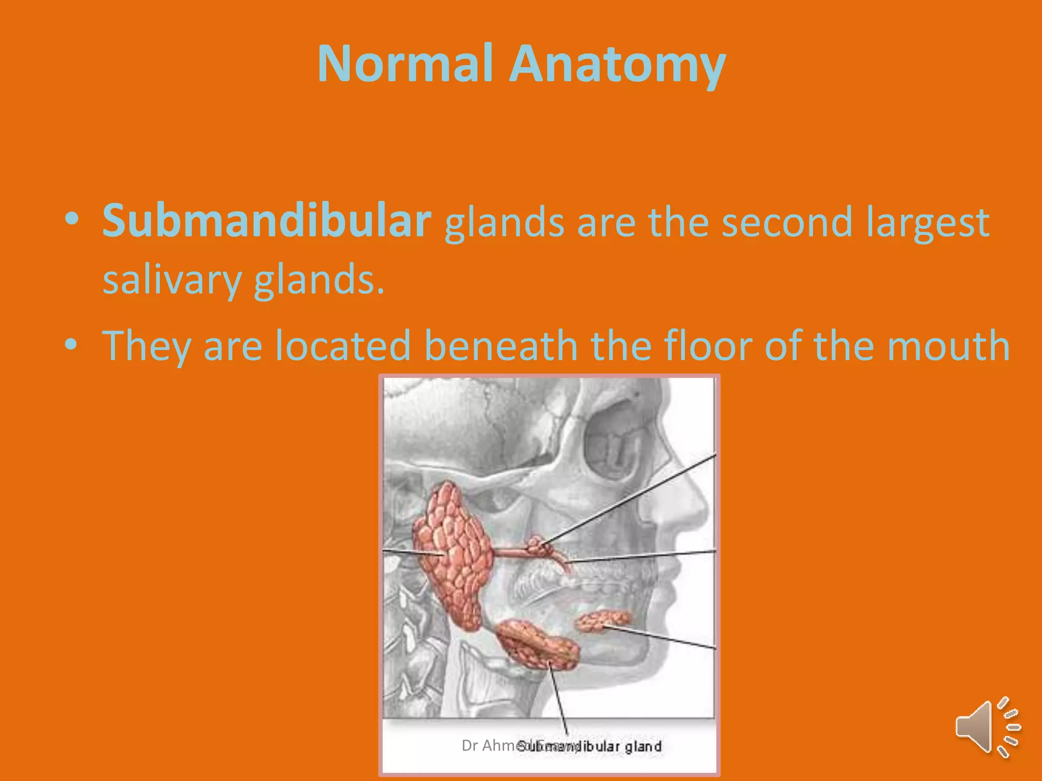 Dr Ahmed Esawy Salivary gland ultrasound | PDF