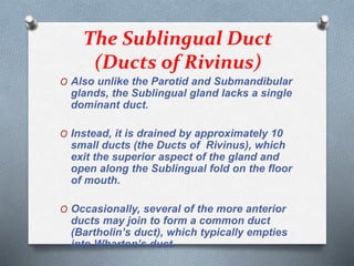 Salivary Glands by DR. C.P. ARYA ( B.Sc. ;B.D.S. ;M.D.S. ;P.M.S. ;R.N.T ...