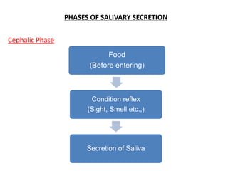 SALIVARY SECRETION AND GASTRIC.pptx
