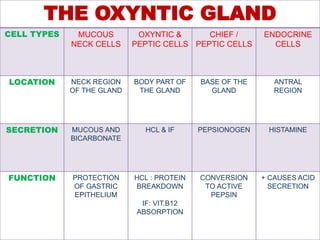 SALIVARY SECRETION AND GASTRIC.pptx