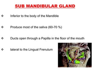 SALIVARY SECRETION AND GASTRIC.pptx