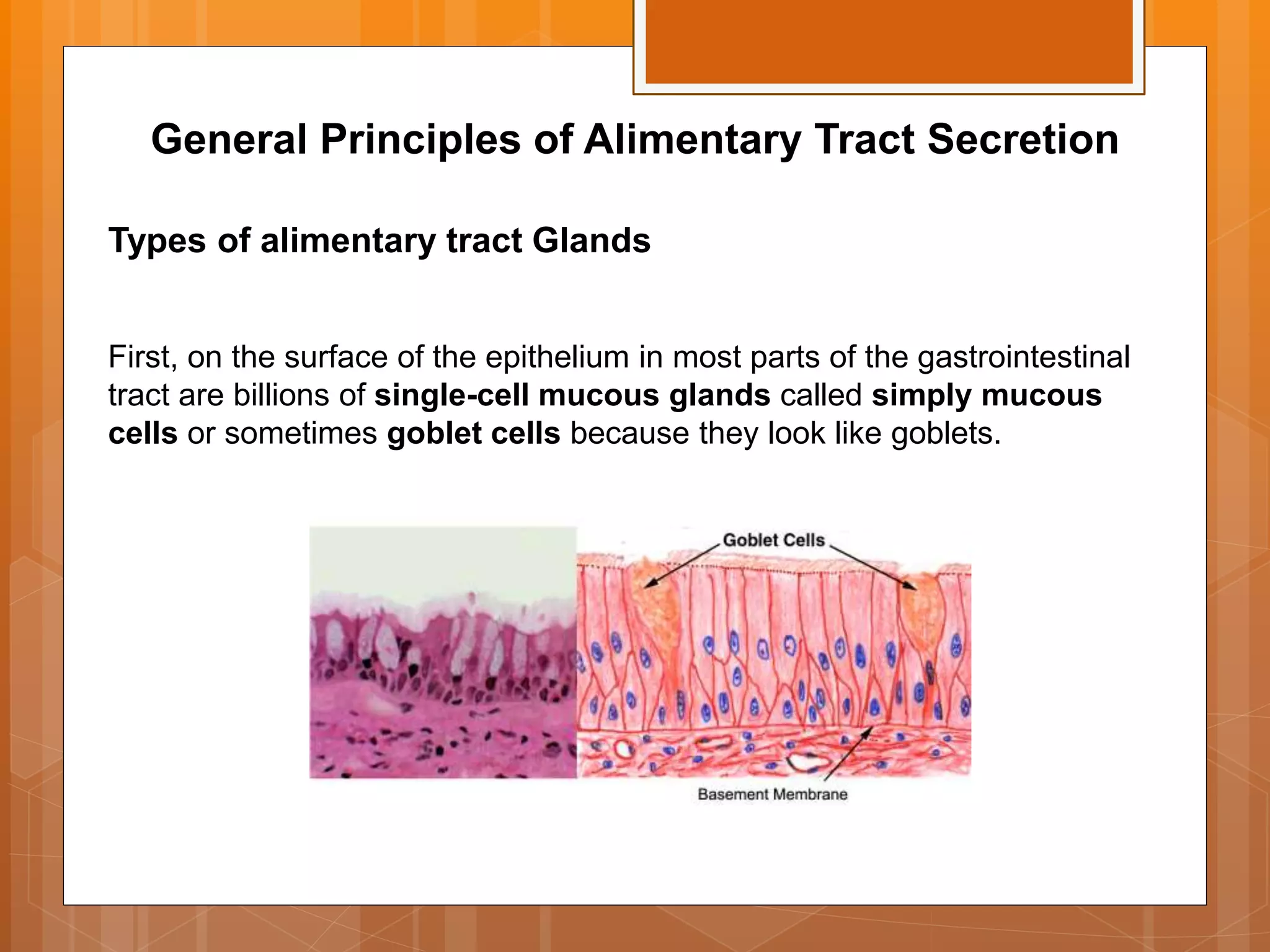 SALIVARY SECRETIONS.pptx