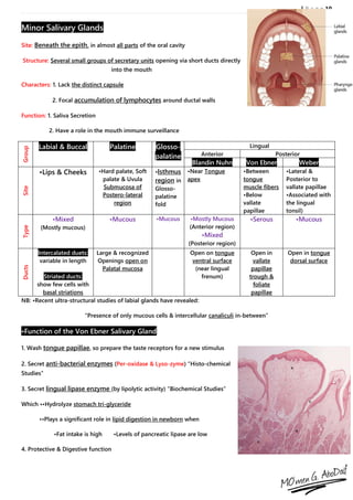 Handout of Salivary Glands Histology | PDF