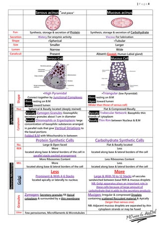 Handout of Salivary Glands Histology | PDF