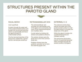 SALIVARY gland.pptx