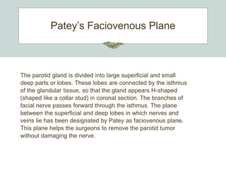 SALIVARY gland.pptx
