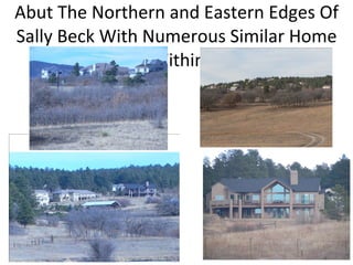 Sally beck master tour | PPT