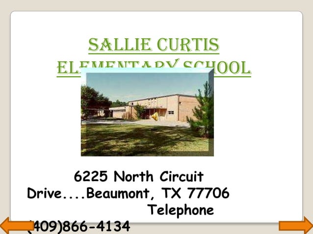 Sally Curtis Elementary School Analysis 2 | PPT