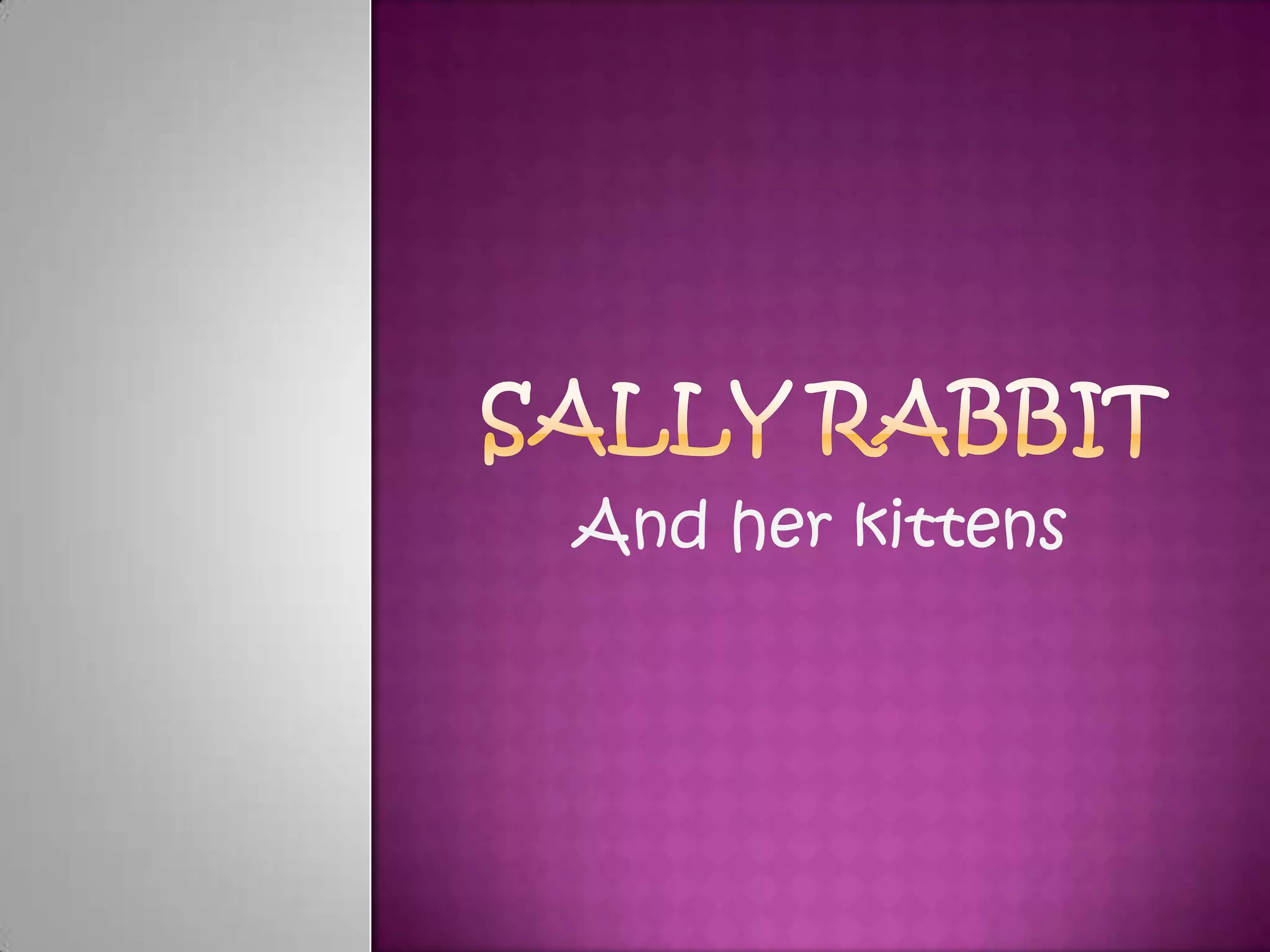 Sally rabbit | PPT