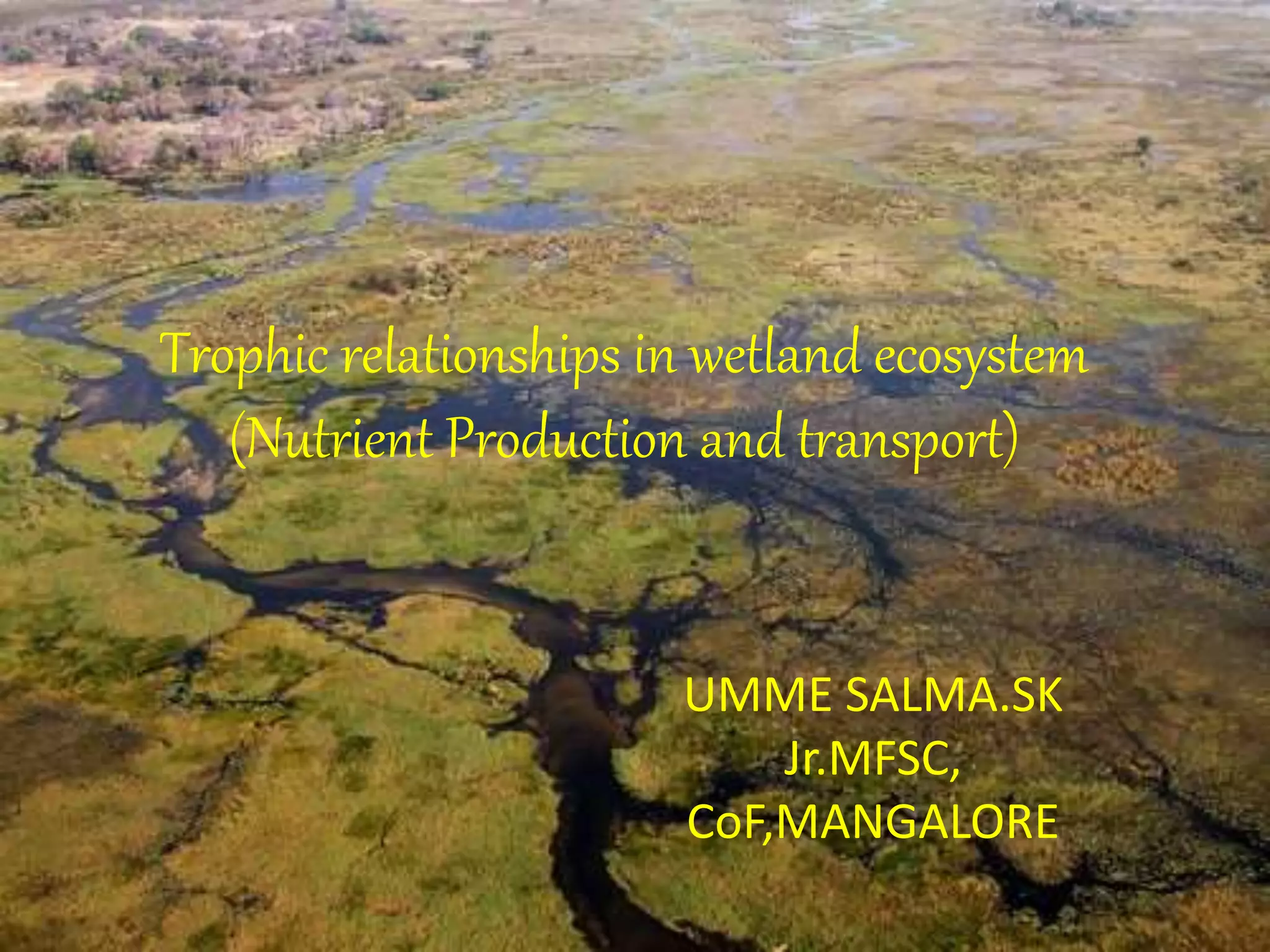 TROPHIC RELATIONSHIP IN WETLAND ECOSYSTEM | PPTX