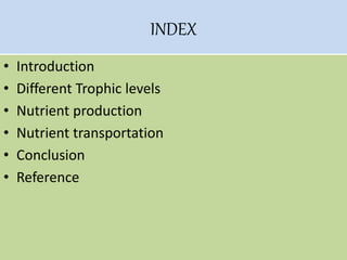 TROPHIC RELATIONSHIP IN WETLAND ECOSYSTEM | PPTX