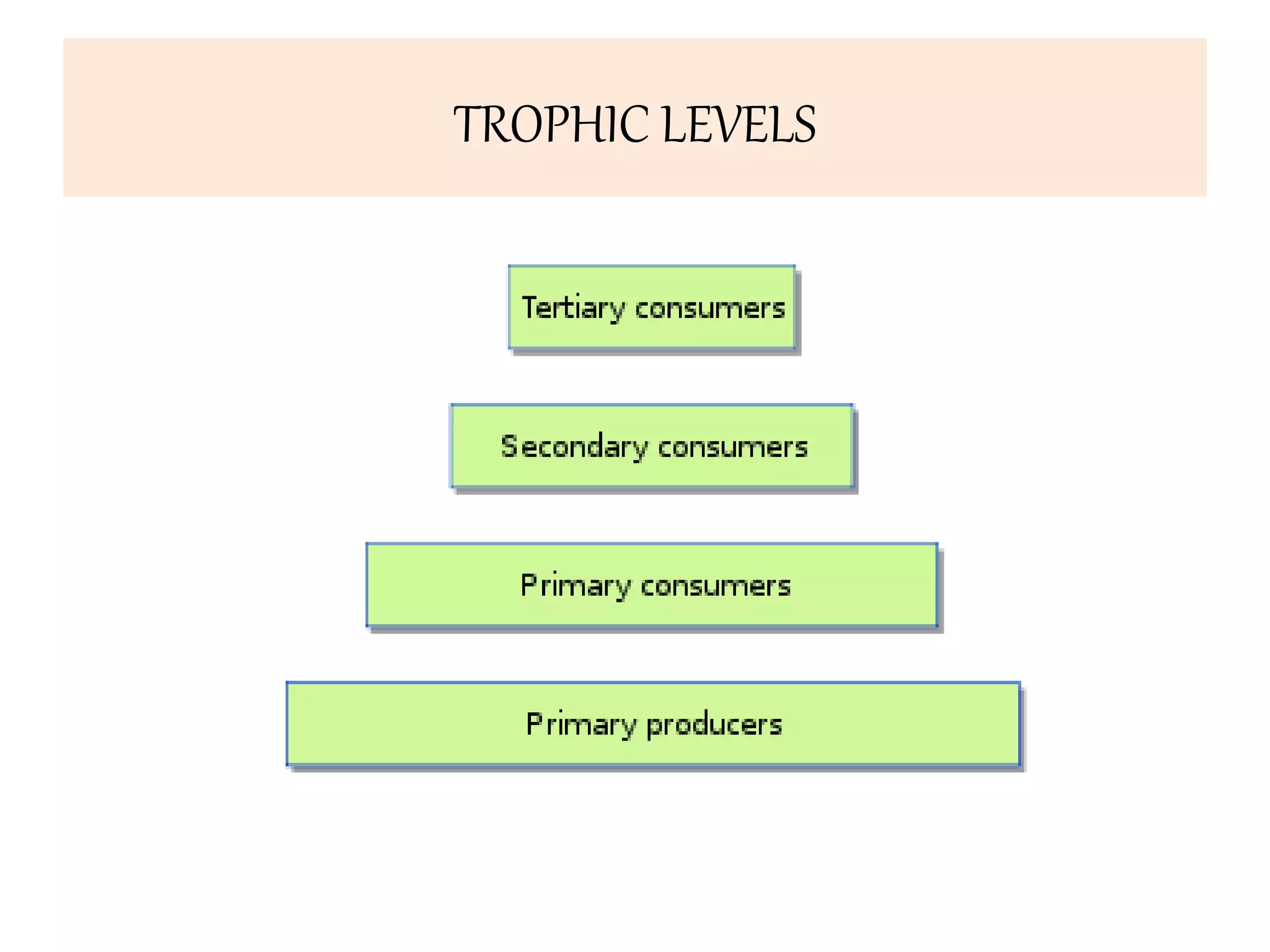 Trophical relationship in WETLAND ecosystem | PPTX