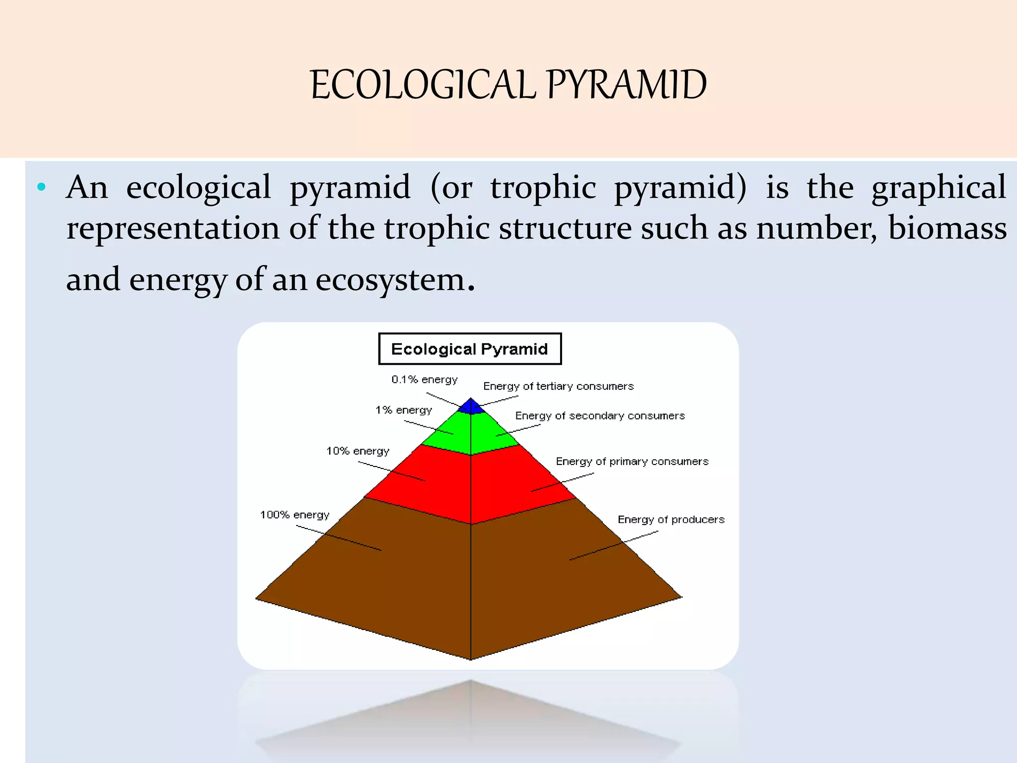 Trophical relationship in WETLAND ecosystem | PPTX