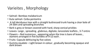 Salmali, Sanghapushpi, Satavari | PPTX