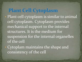 Cytoplasm | PPTX