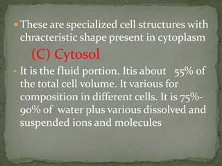 Cytoplasm | PPTX