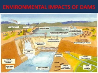 DAMS AND THIER ENVIRONMENTAL IMPACTS | PPTX