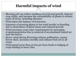 wind stress & its management | PPTX