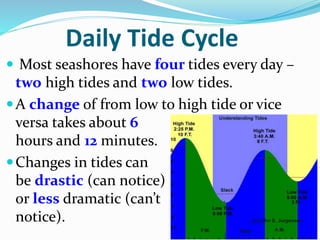 Tides (Geology) | PPTX