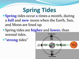 Tides (Geology) | PPTX