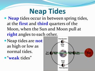 Tides (Geology) | PPTX