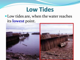 Tides (Geology) | PPTX