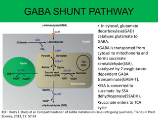 PROLINE AND GABA AS ANTIOXIDANTS | PPTX