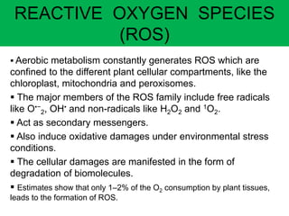 PROLINE AND GABA AS ANTIOXIDANTS | PPT