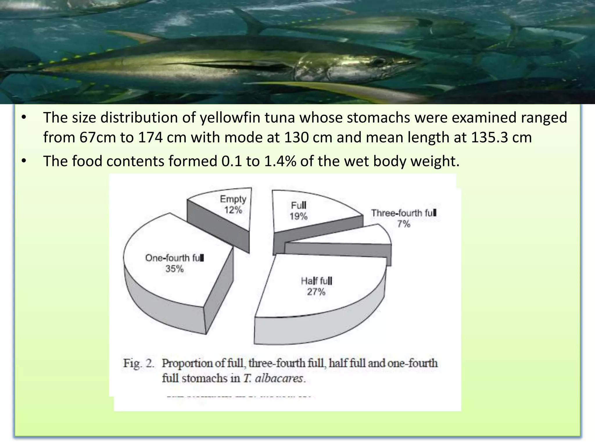 food and feeding habbits of tuna | PPTX