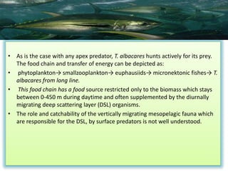 Food and Feeding habits of yellowfin tuna | PPTX