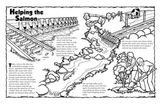 The Pacific Salmon and Steelhead Coloring Book | PDF