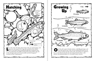 The Pacific Salmon and Steelhead Coloring Book | PDF