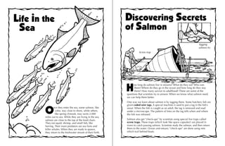 Steelhead Coloring Page Coloring Pages