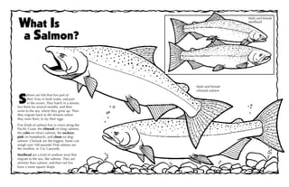 Alaska Salmon Coloring Pages