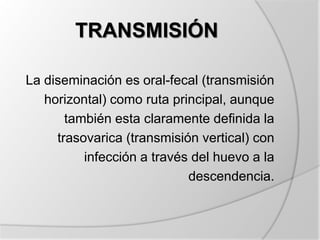 Salmonella | PPTX